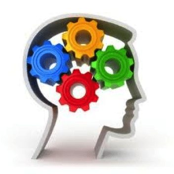 Recap Your Previous Driving Lesson - Nice Drive